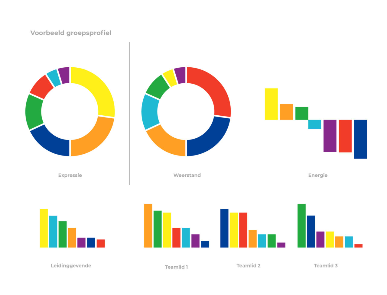 Profile Dynamics - Rainmen